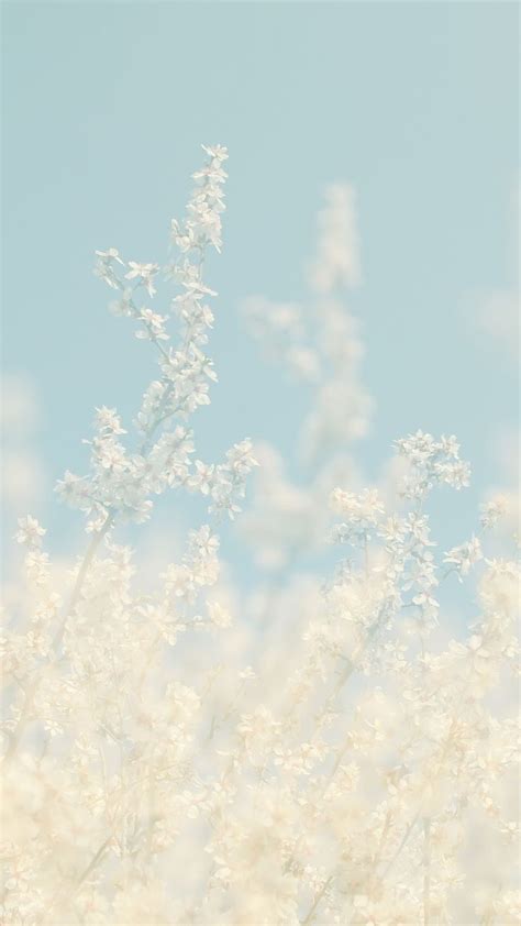 Pin By Iqbal Hasaan On VIP WALLPAPER Scenery Wallpaper Iphone