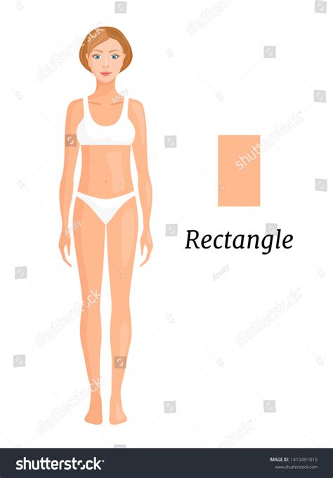 Rectangular Figure Female Body Shapes Vector Stock Vector Royalty Free