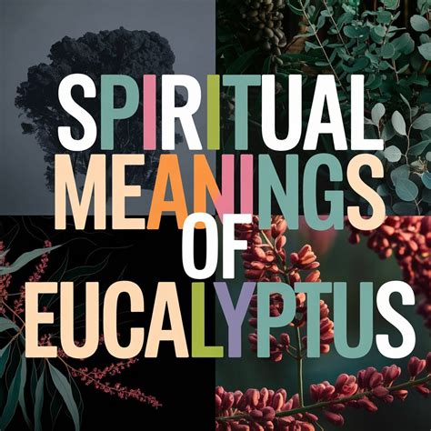 12 Spiritual Meanings Of Eucalyptus Unveiling The Herbs Mystical Secrets
