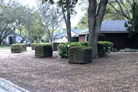 Sod Installation Solstice