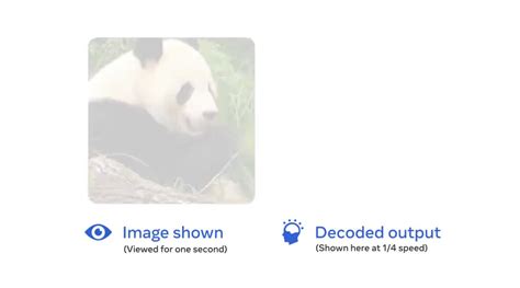 Metaais New Ai To Decode Images In Real Time Mohit Mayank Posted On