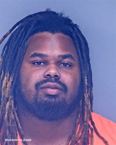 Robinson Tyshawn Dmarcus 03 22 2024 Baldwin County Mugshots Zone