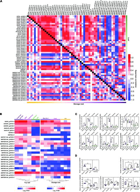 Transcription Factor Tf Expression Difference Of Myb Bhlh Wdr Mbw