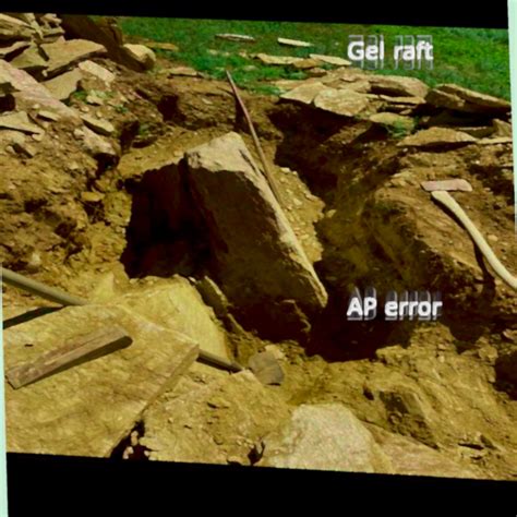 Ap Error Gel Raft Mehta