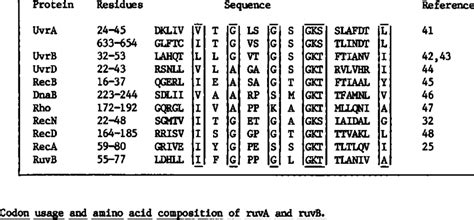 Alignment Of The Putative Atp Binding Sequence Of Ruvb With Similar Download Table