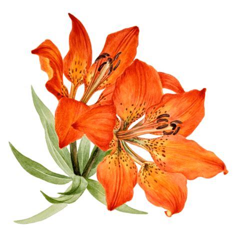 Home Massage Refresh