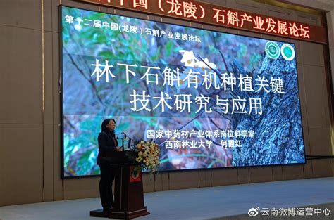 第十二届中国龙陵石斛产业发展论坛隆重开幕