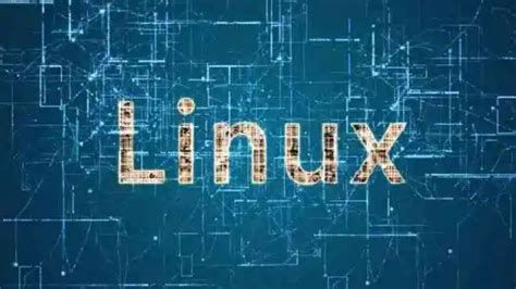 揭秘linux Find命令：高效查找文件的终极指南，让你秒变文件搜索达人！ 苏州老王 博客园