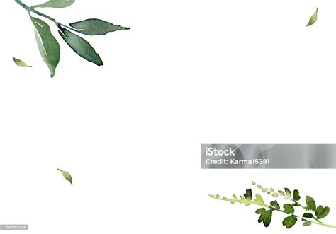 결혼식 초대장 인사말 카드 현대적인 스타일의 흰색 배경에 식물 요소와 수채화 그림 개화기에 대한 스톡 벡터 아트 및 기타 이미지