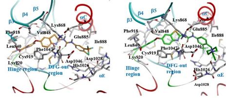 The Putative Binding Mode Of Compounds A Orange And 6 Green In The