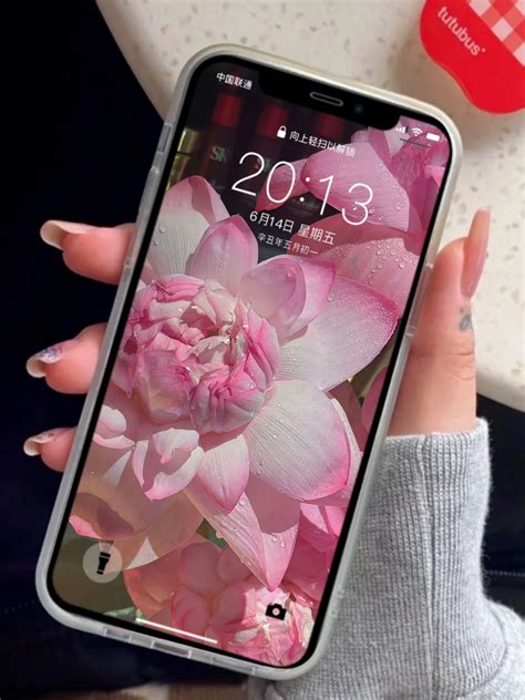 花系列1超美莲花壁纸