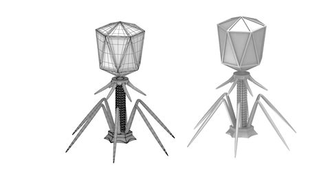 Printable Bacteriophage 3d Model 3d Printable Cgtrader