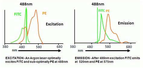 Compensation Flow Cytometry Core Facility
