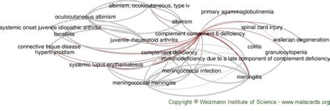 Complement Component 6 Deficiency Disease Malacards Research