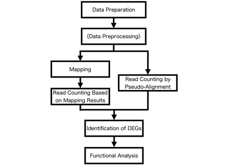 Rna Seq Data Analysis A Step By Step Overview
