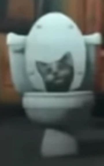 Skibidi Cat Fandom