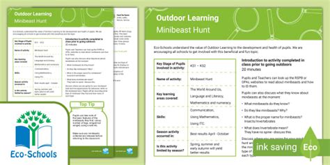 Free Eco Schools Ni Outdoor Learning Minibeast Hunt