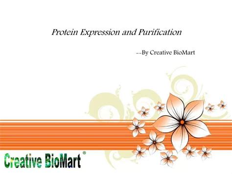 Ppt Creative Biomart Protein Expression Service Powerpoint