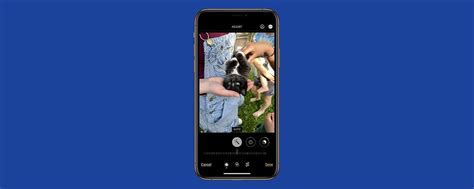 Comment Convertir Png En Jpeg Sur Iphone Themelocal Des Conseils De