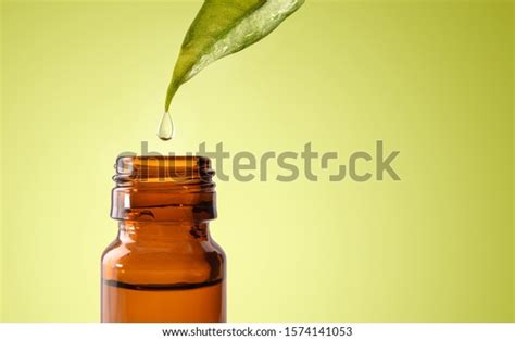 Essential Oils Extraction Over 99220 Royalty Free Licensable Stock