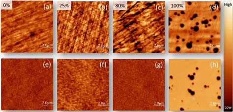 Tapping Mode Afm Topographies On A Large Scan Area 10 μm × 10 μm Of