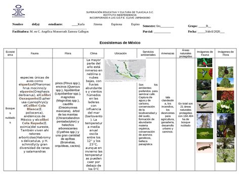 Cuadro Comparativo Sobre Ecosistemas De Mexico Kultur