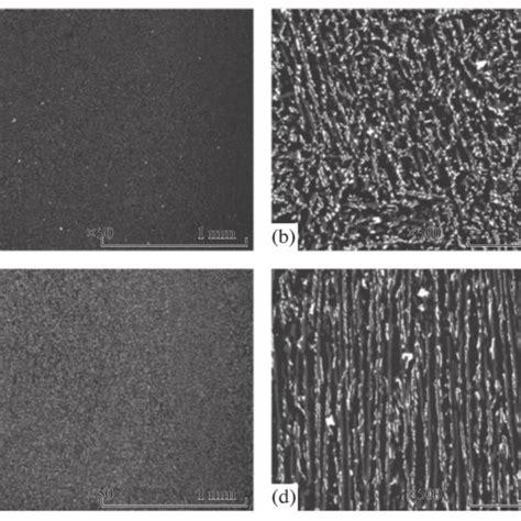 Directionally Crystallized Ternary Eutectic Composite Of The B4c Tab2 Sic System Request Pdf