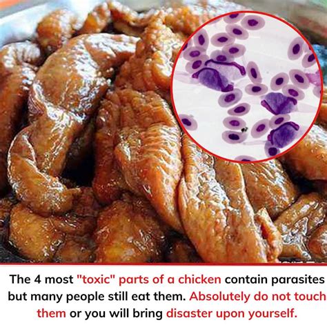 Blog The 4 Most Toxic Parts Of A Chicken Contain Parasites But Many People Still Eat Them