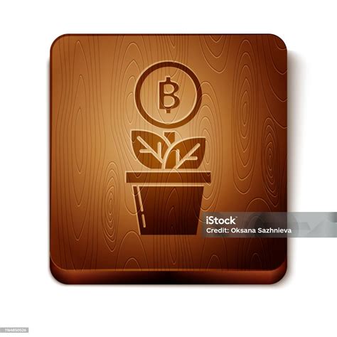 갈색 비트 코인 식물 냄비 아이콘흰색 배경에 격리 비즈니스 투자 성장 블록 체인 기술 암호 화폐 마이닝 나무 사각형 버튼입니다 벡터 일러스트레이션 0명에 대한 스톡 벡터