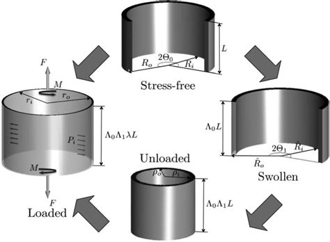 A Schematic Description Of The Mappings From The Open Stress Free SF