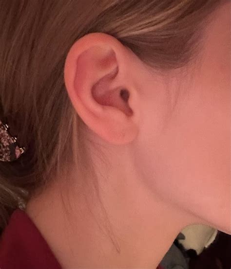 Ideas For What I Should And Have The Anatomy To Get Pierced Ive