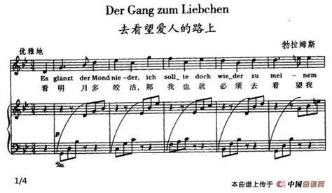 去看望爱人的路上（波西米亚民歌）（中外文对照、正谱）