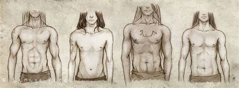Male Anatomy Template Back By Shintenzu On Deviantart Artofit