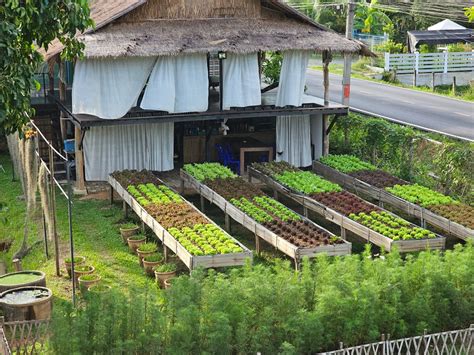 ไอเดียจัดสวนผักอินทรีย์หน้าบ้าน สวยผสมผสาน พลัดเปลี่ยนตามฤดู ความฝันของหลายๆคน