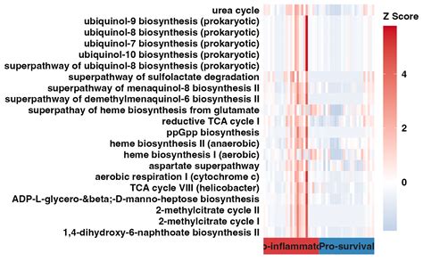 Create Pathway Heatmap — Pathway Heatmap Ggpicrust2