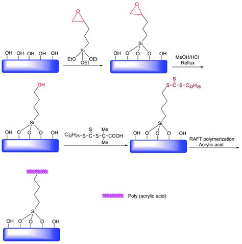Forming Reversible Addition Fragmentation Chain Transfer Raft