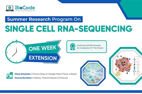 Summer Research Program On Single Cell Rna Seq Biocode