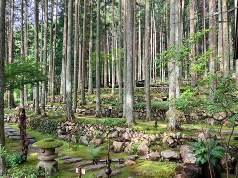 苔の聖地苔筵こけむしろをドローンで撮影 猛LION