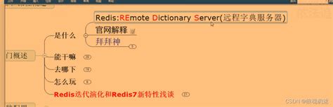 尚硅谷redis7 任务2：02redis是什么 Csdn博客