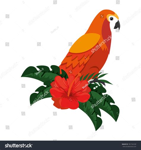 Cockatoo Exotic Bird Flower Stock Vector Royalty Free 781734169