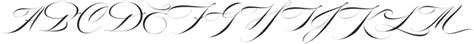 Blosta Script Regular Otf Font Script Decorative What Font Is