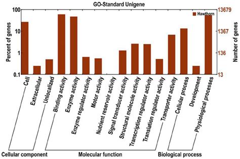 Histogram Of Go Classifications Of Assembled C Pinnatifida Unigenes Download Scientific
