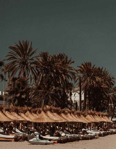 Playa Soleil Haz Tu Reserva2025 Sandbeds