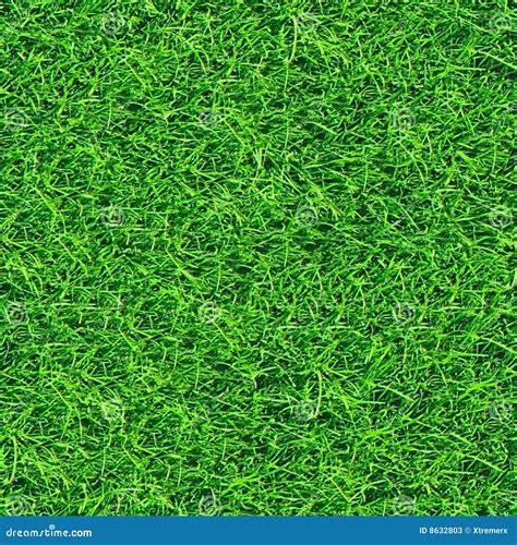 Grass Seamless Pattern 2 Of 2 Stock Image Image Of Herb Build 8632803