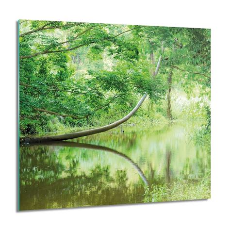ArtprintCave Dżungla Australia Foto szklane na ścianę 60x60 cm