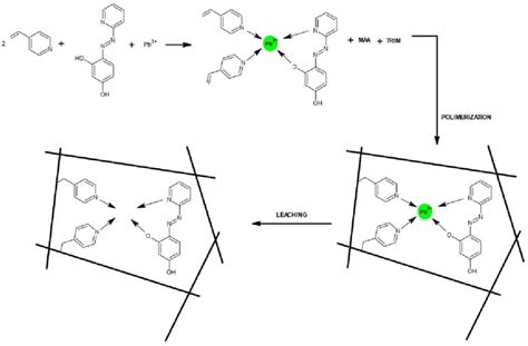 Schematic Procedures Of Ternary Complex Based Pb Iip Synthesis