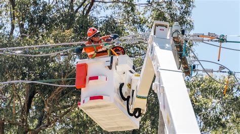 Proactive Bushfire Preparation Endeavour Energy
