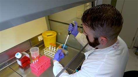 Video A Three Dimensional Spheroid Model To Investigate The Tumor Stromal Interaction In