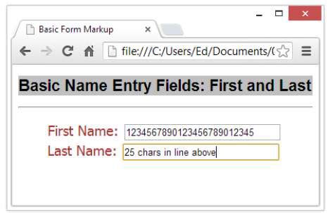 How To Use Text Fields In Your HTML Form Dummies