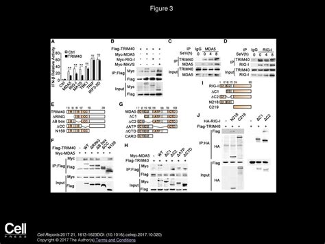 Volume 21 Issue 6 Pages November 2017 Ppt Download